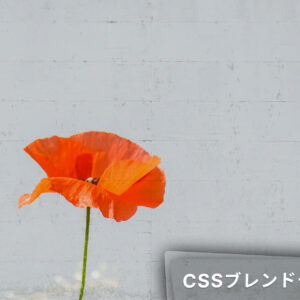 CSSブレンドモード。mix-blend-modeの例一覧。乗算やスクリーンを。 / メモ / いがわ